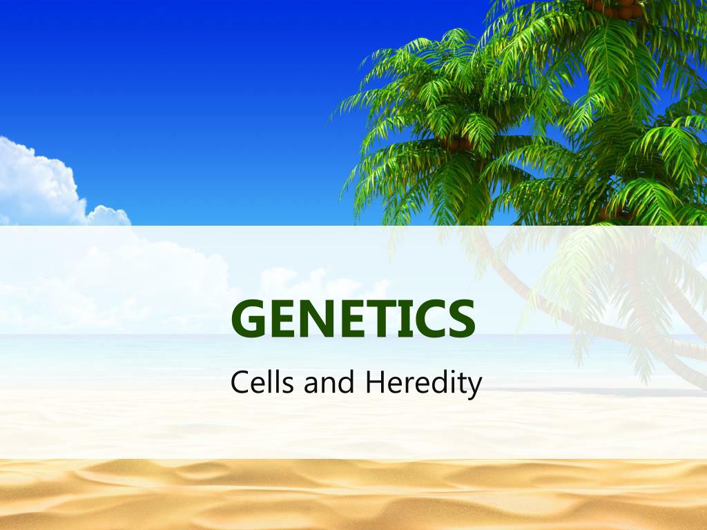 PPT - GENETICS PowerPoint Presentation, free download - ID:1864107