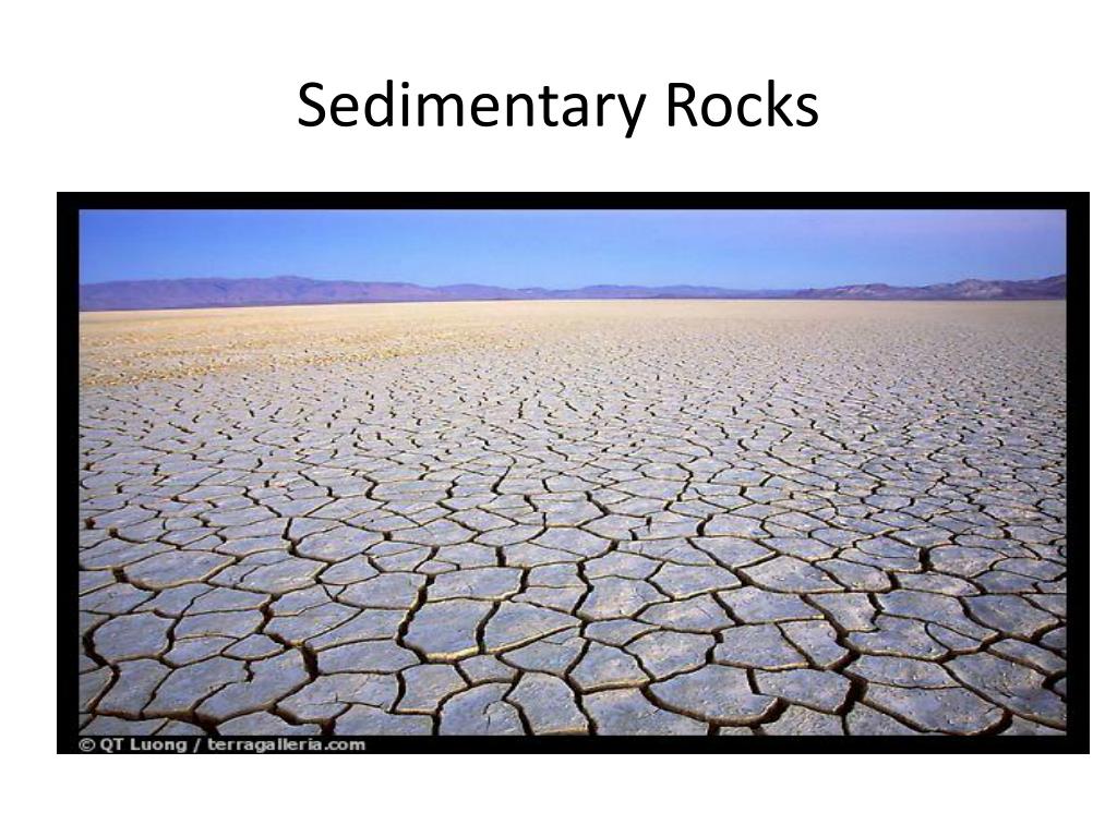 PPT - Sedimentary Rocks PowerPoint Presentation, free download - ID:1865432