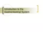 PPT - Welcome to Anatomy & Physiology II PowerPoint Presentation, free ...