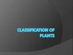 PPT - Classification of Plants PowerPoint Presentation, free download ...