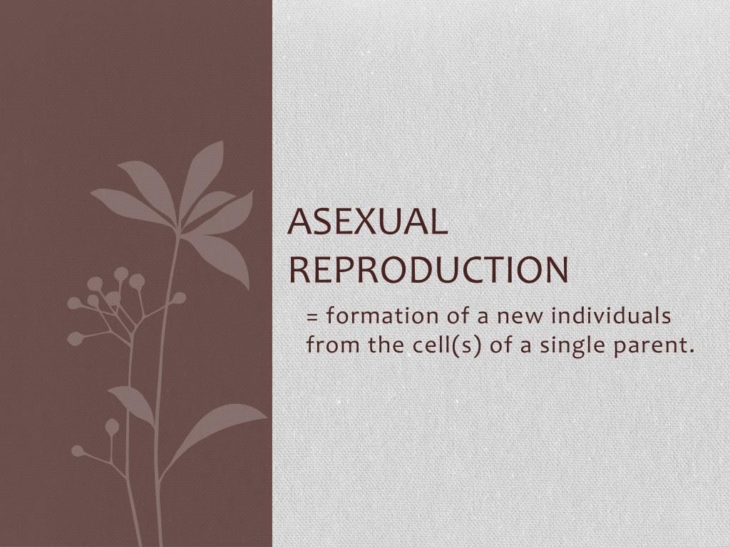 PPT - Exploring Asexual Reproduction Methods in Plants and Animals ...
