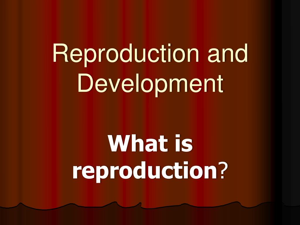 PPT - Reproduction and Development PowerPoint Presentation, free ...