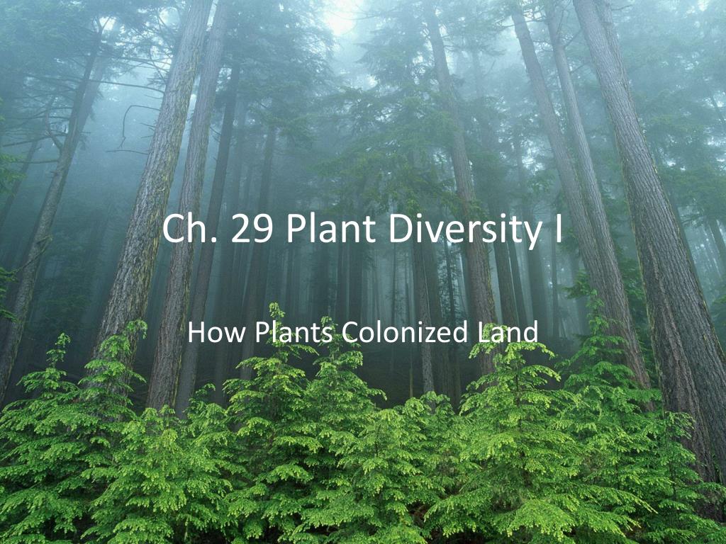 PPT - Ch. 29 Plant Diversity I PowerPoint Presentation, free download ...