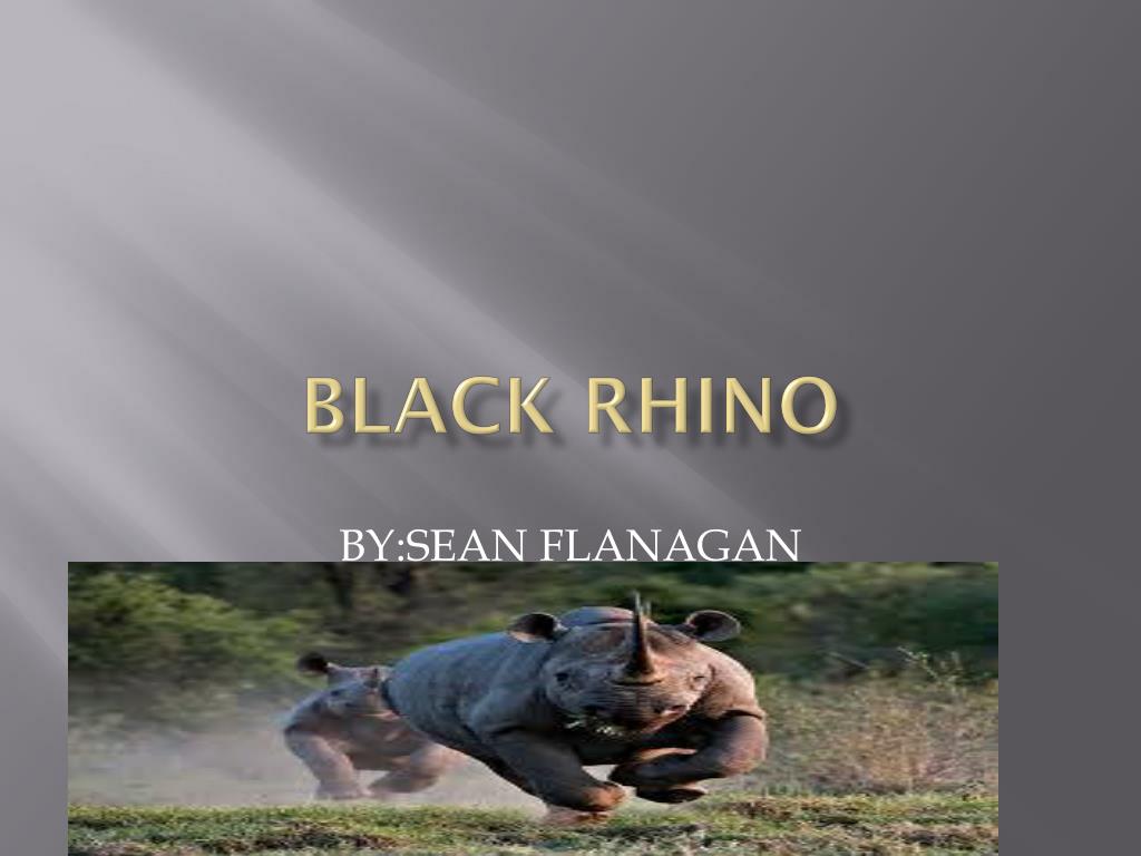 PPT - Black Rhino PowerPoint Presentation, free download - ID:1868173