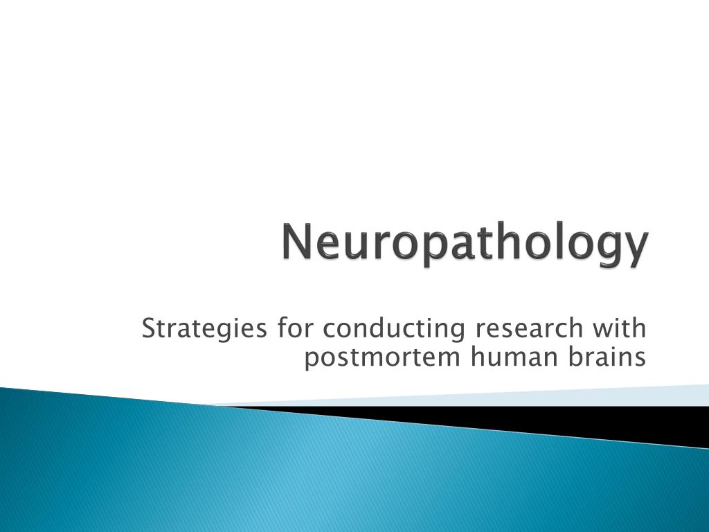 PPT - Neuropathology PowerPoint Presentation, free download - ID:1868822