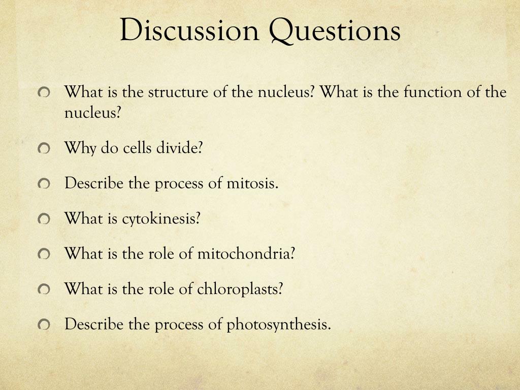 PPT - Discussion Questions PowerPoint Presentation, free download - ID ...