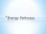 PPT - How Cells Make ATP: Energy-Releasing Pathways PowerPoint ...