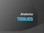 PPT - TISSUES PowerPoint Presentation, free download - ID:2967881