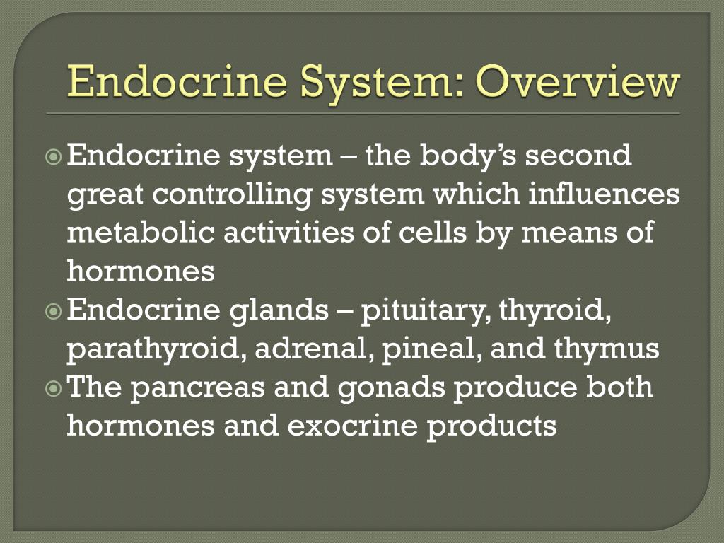 PPT - Endocrine System: Overview PowerPoint Presentation, free download ...