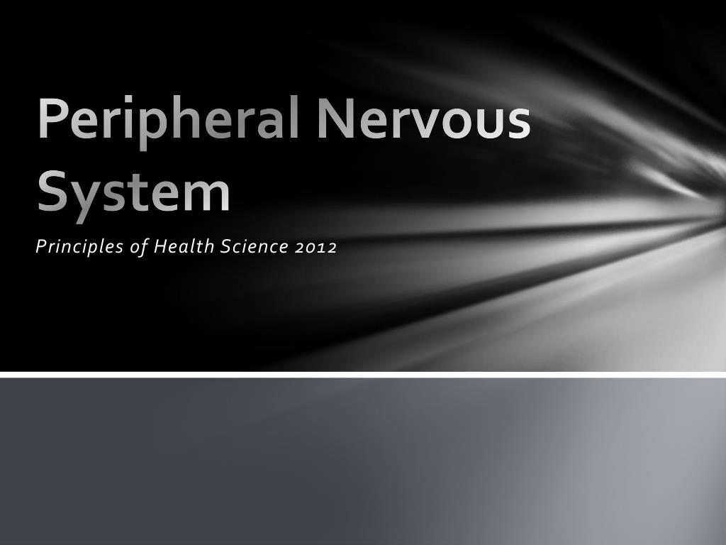 PPT - Peripheral Nervous System PowerPoint Presentation, free download ...