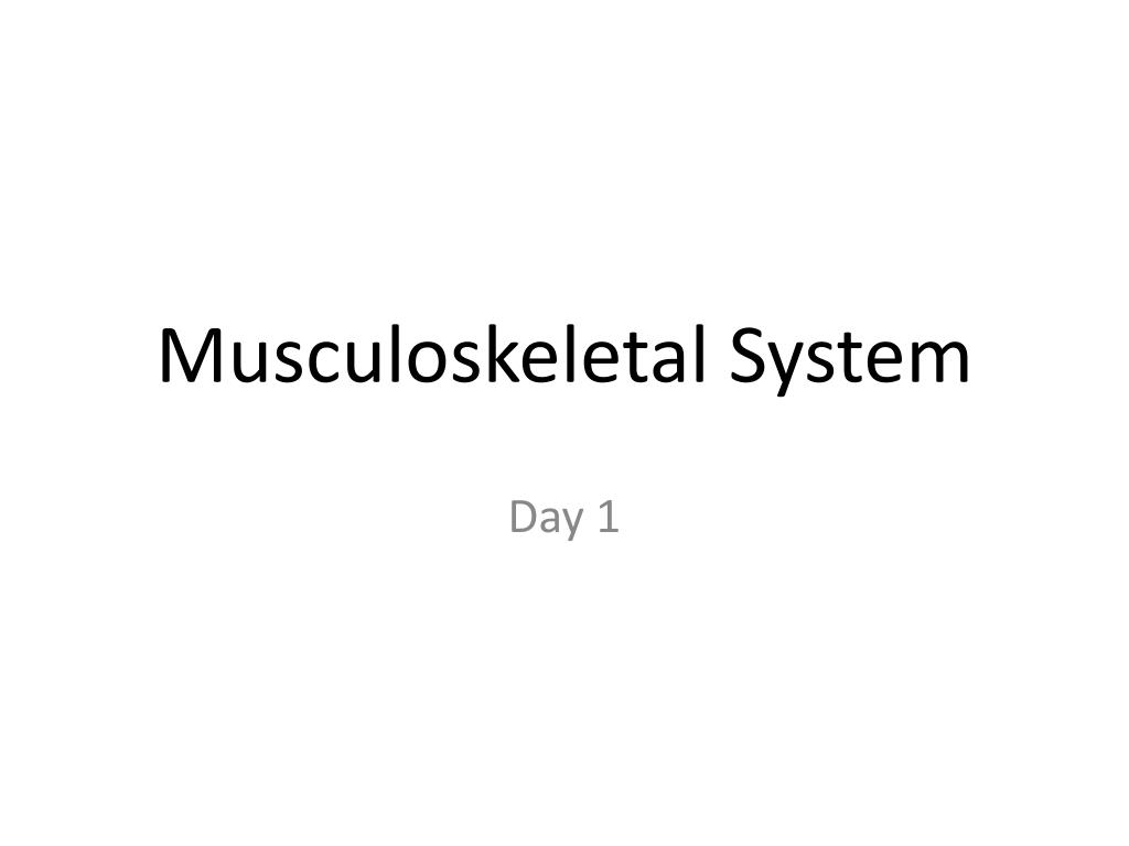 PPT - Musculoskeletal System PowerPoint Presentation, free download ...