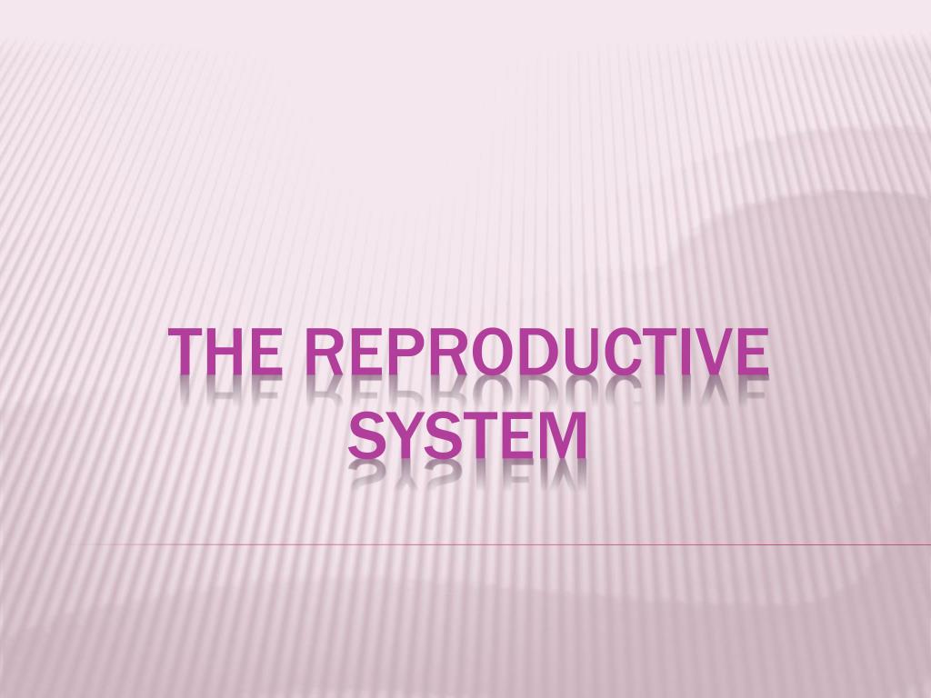 PPT - The Reproductive System PowerPoint Presentation, free download ...