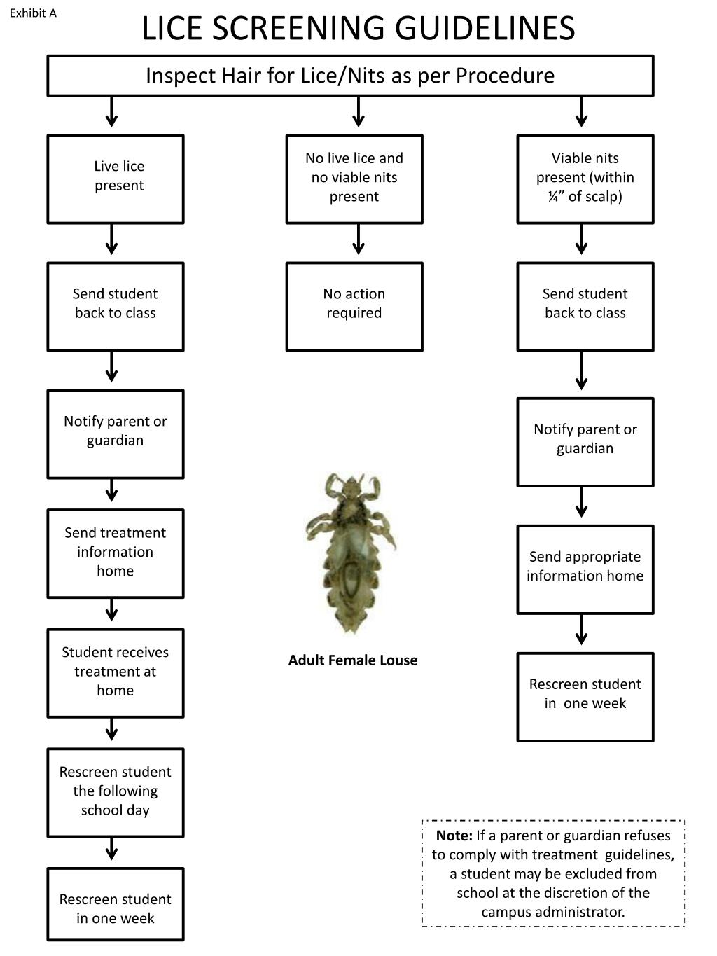 PPT - LICE SCREENING GUIDELINES PowerPoint Presentation, free download ...