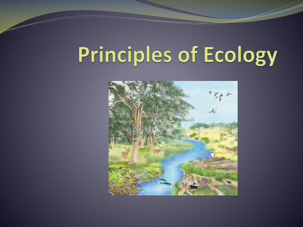 PPT - Principles of Ecology PowerPoint Presentation, free download - ID ...