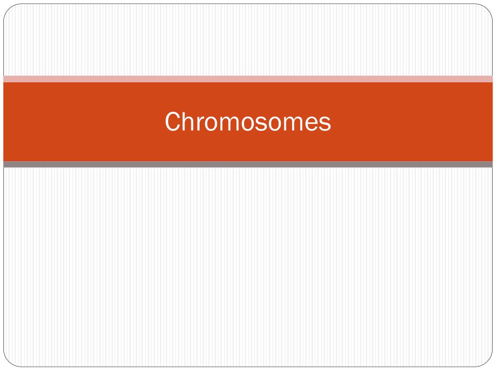 PPT - Chromosomes PowerPoint Presentation, free download - ID:1878744