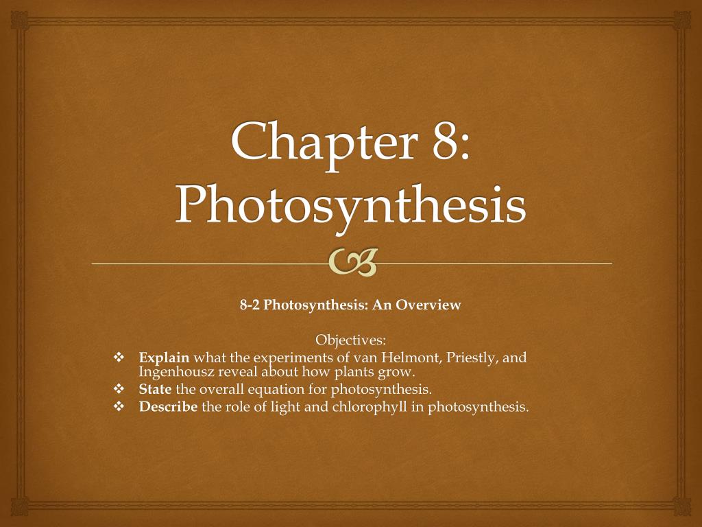 PPT - Chapter 8: Photosynthesis PowerPoint Presentation, free download ...