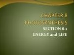 PPT - Ch. 8 Photosynthesis PowerPoint Presentation, free download - ID ...