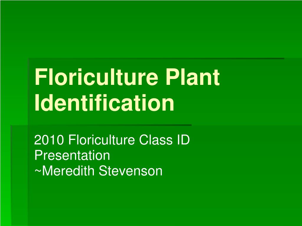 PPT - Floriculture Plant Identification PowerPoint Presentation, free ...