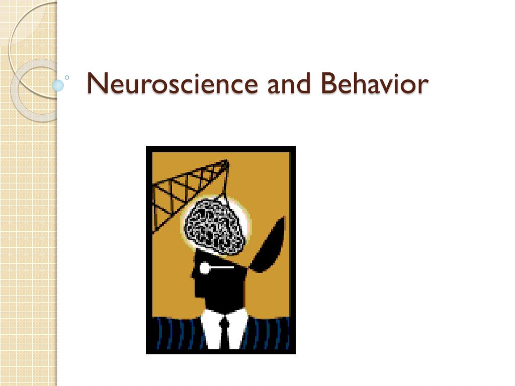 PPT - Neuroscience and Behavior PowerPoint Presentation, free download ...