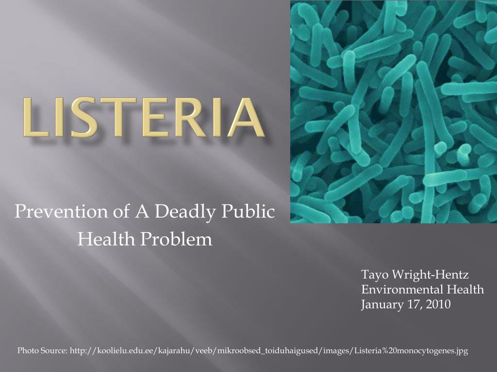PPT - Listeria PowerPoint Presentation, free download - ID:1882185