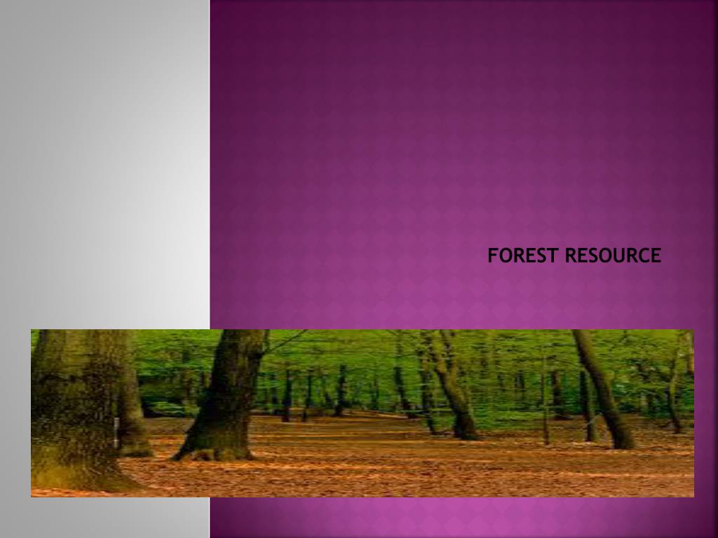 PPT - FOREST RESOURCE PowerPoint Presentation, free download - ID:1882511
