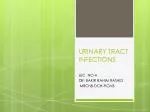 PPT - Urinary Tract Infections PowerPoint Presentation, free download ...