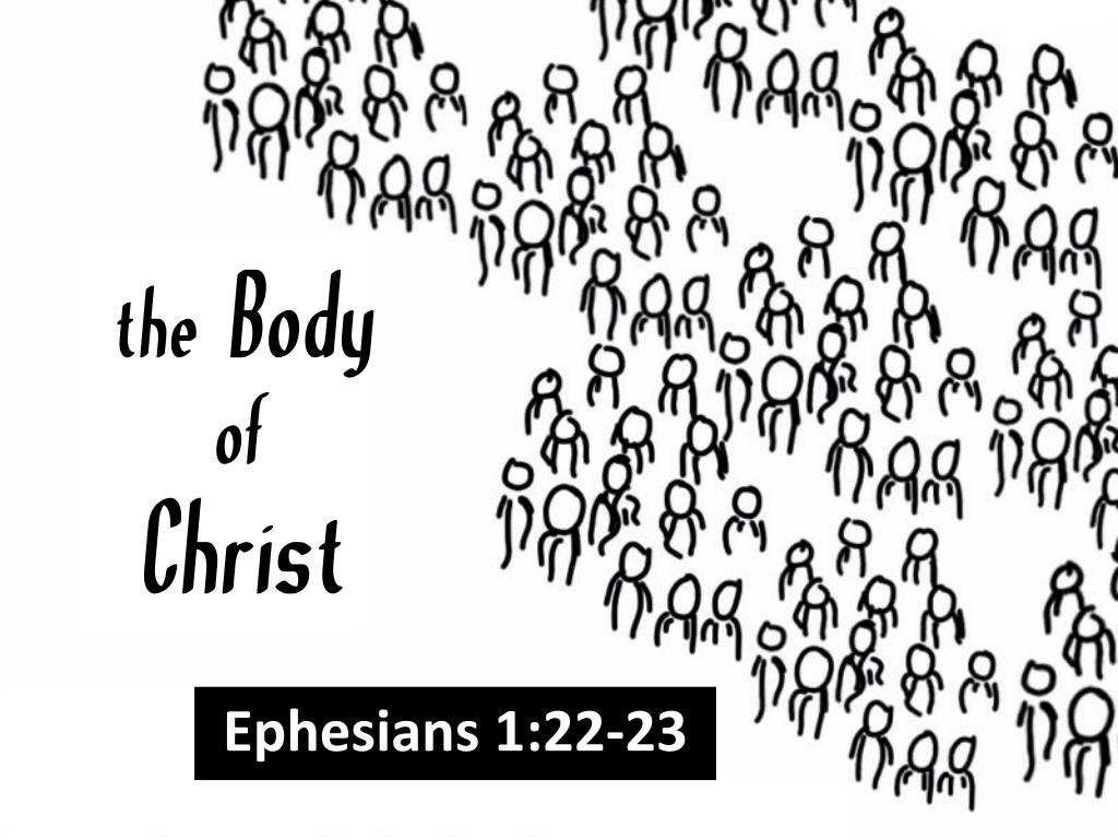 PPT - the Body Christ PowerPoint Presentation, free download - ID:1884909