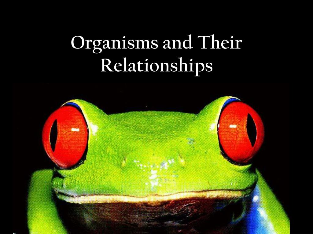 PPT - Organisms and Their Relationships PowerPoint Presentation, free ...
