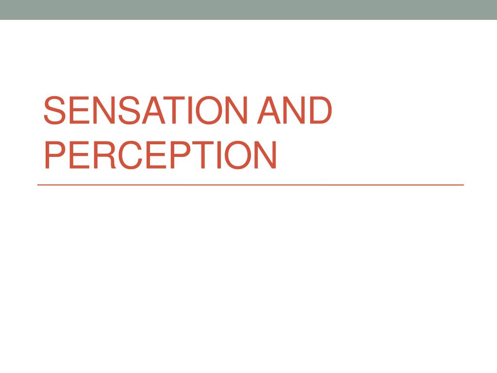 PPT - Sensation and Perception PowerPoint Presentation, free download ...