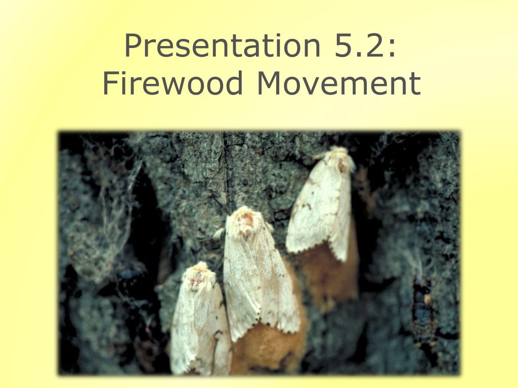 PPT - Presentation 5.2: Firewood Movement PowerPoint Presentation, free ...