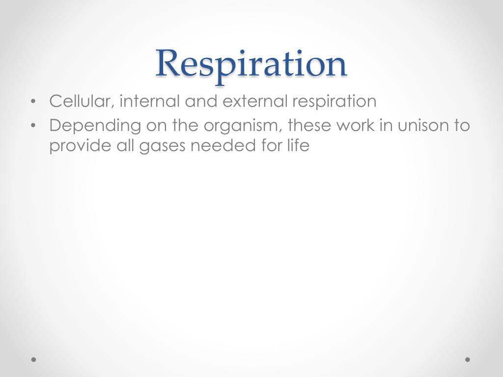 PPT - Respiration PowerPoint Presentation, free download - ID:1888250