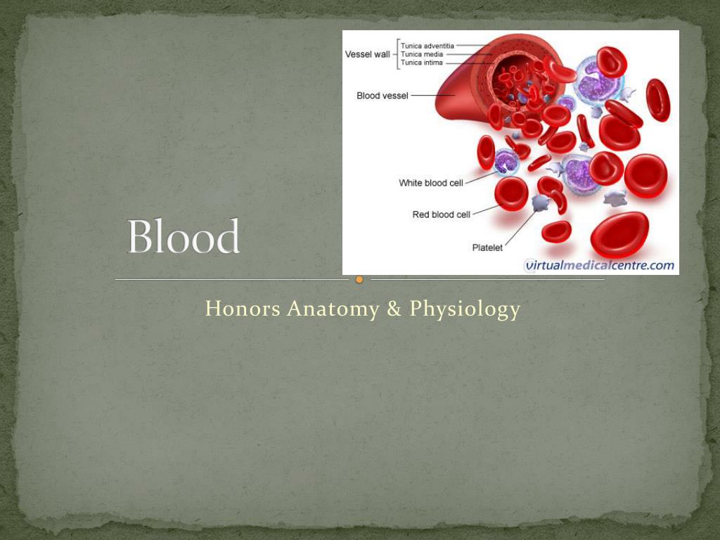 PPT - Blood PowerPoint Presentation, free download - ID:1889279