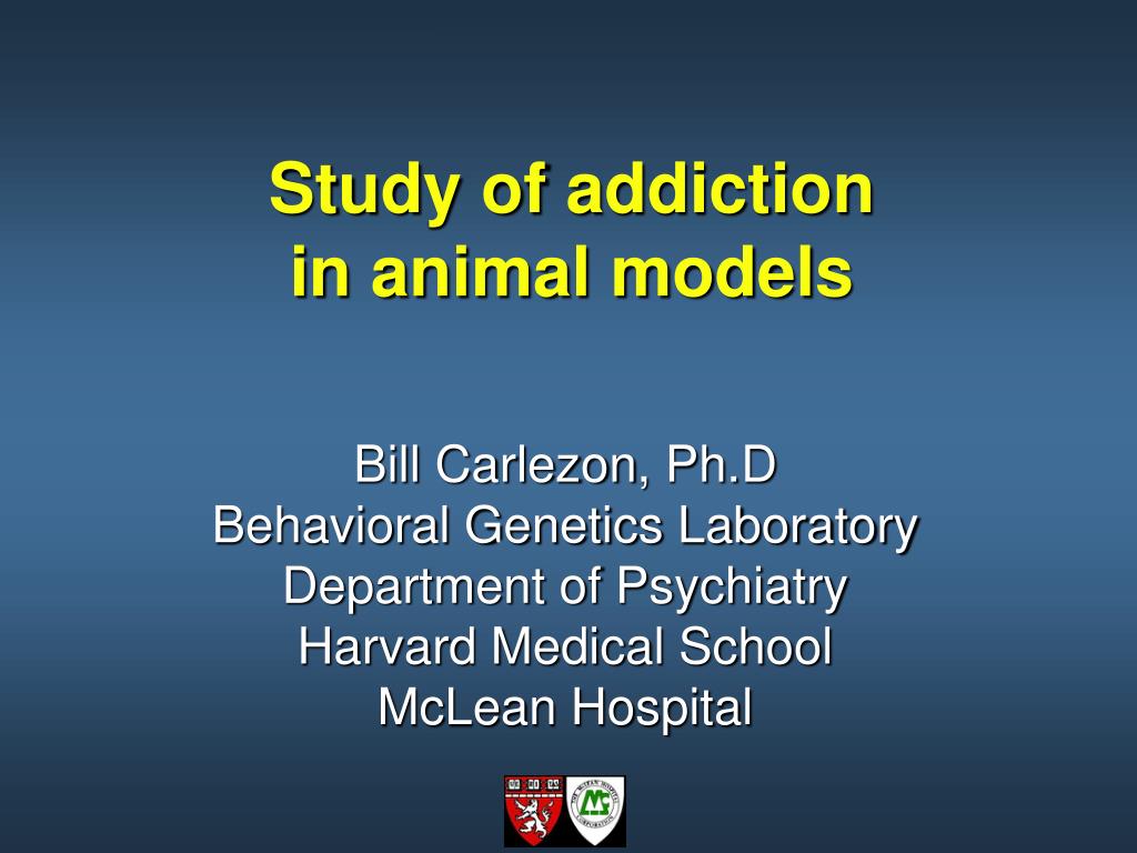 PPT - Study of addiction in animal models PowerPoint Presentation, free ...