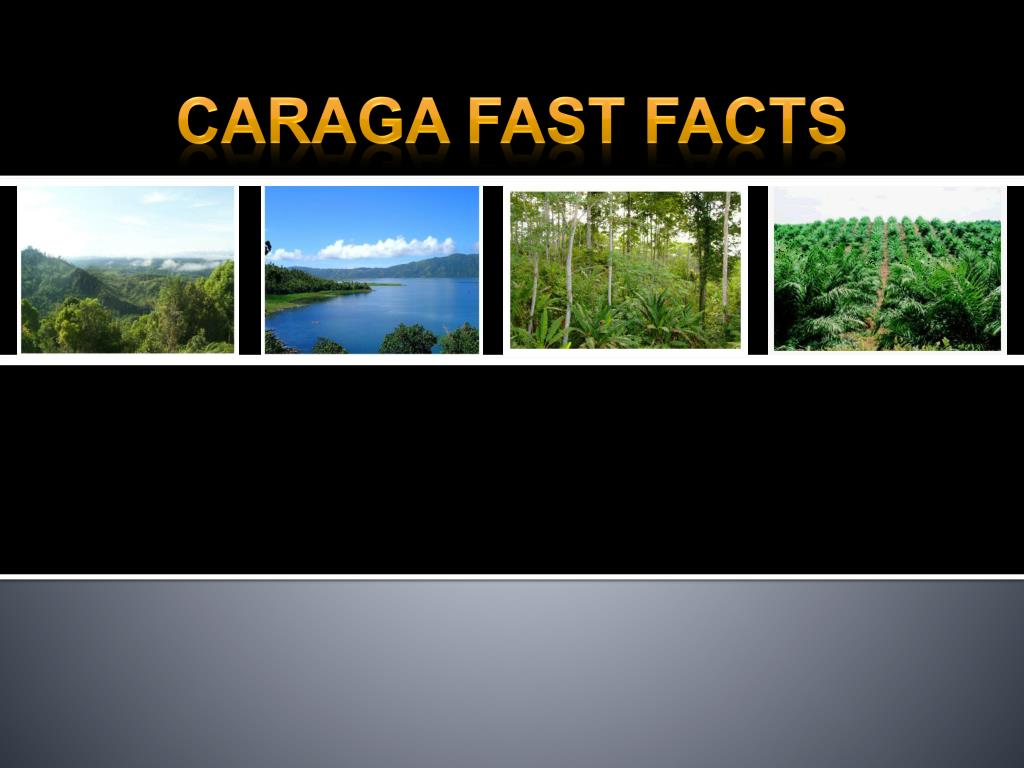 PPT - CARAGA FAST FACTS PowerPoint Presentation, free download - ID:1893305
