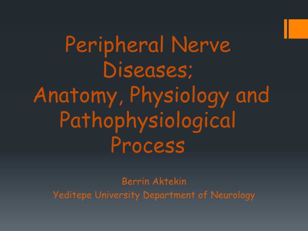 PPT - Peripheral Nerve Diseases; Anatomy, Physiology and ...