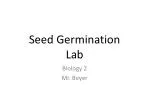 PPT - Seed Germination PowerPoint Presentation, free download - ID:2030151
