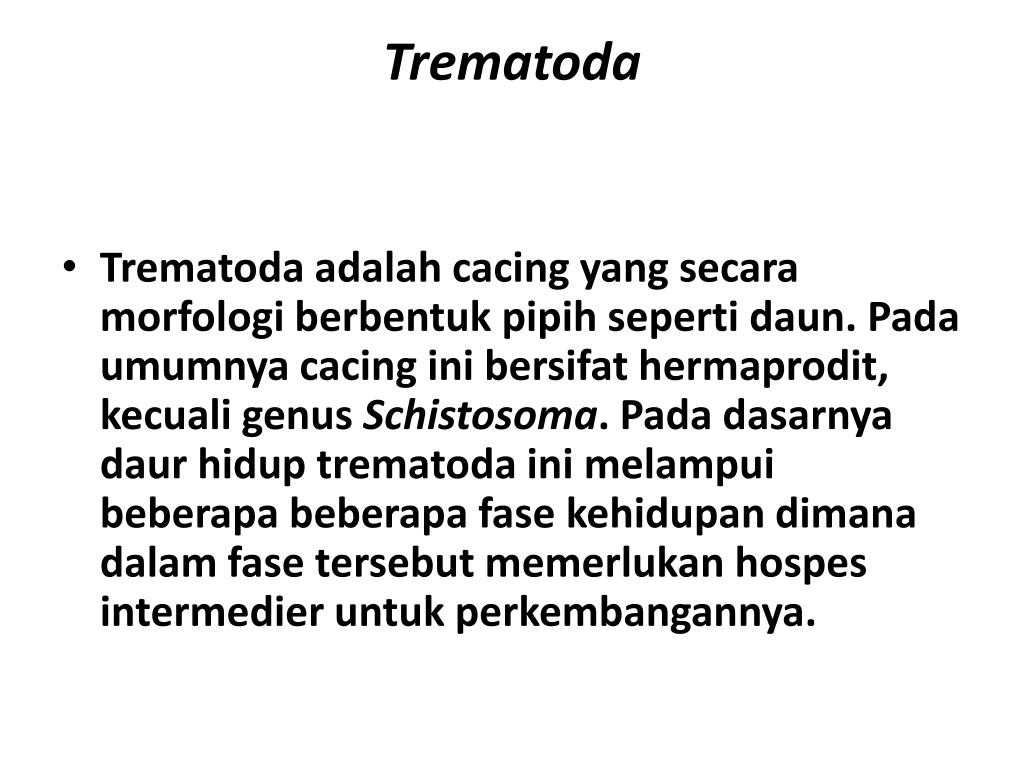 PPT - Trematoda PowerPoint Presentation, free download - ID:1894553