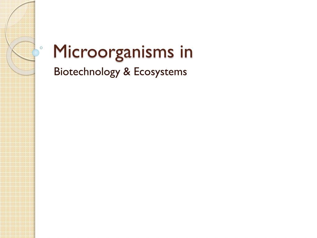 PPT - Microorganisms in PowerPoint Presentation, free download - ID:1894758