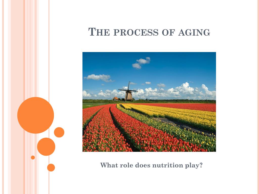 PPT - The process of aging PowerPoint Presentation, free download - ID ...