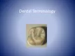 PPT - Dental Terminology Part 2 PowerPoint Presentation, free download ...