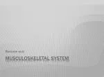 PPT - THE MUSCULOSKELETAL SYSTEM PowerPoint Presentation, free download ...