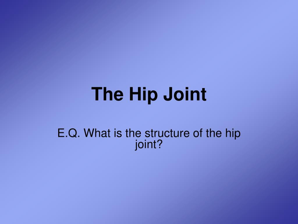 PPT - The Hip Joint PowerPoint Presentation, free download - ID:1898139