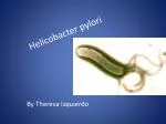 PPT - Helicobacter Pylori PowerPoint Presentation, free download - ID ...