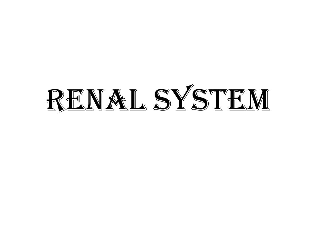PPT - Renal system PowerPoint Presentation, free download - ID:1898307