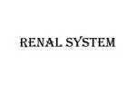 PPT - RENAL SYSTEM PowerPoint Presentation, free download - ID:9548883