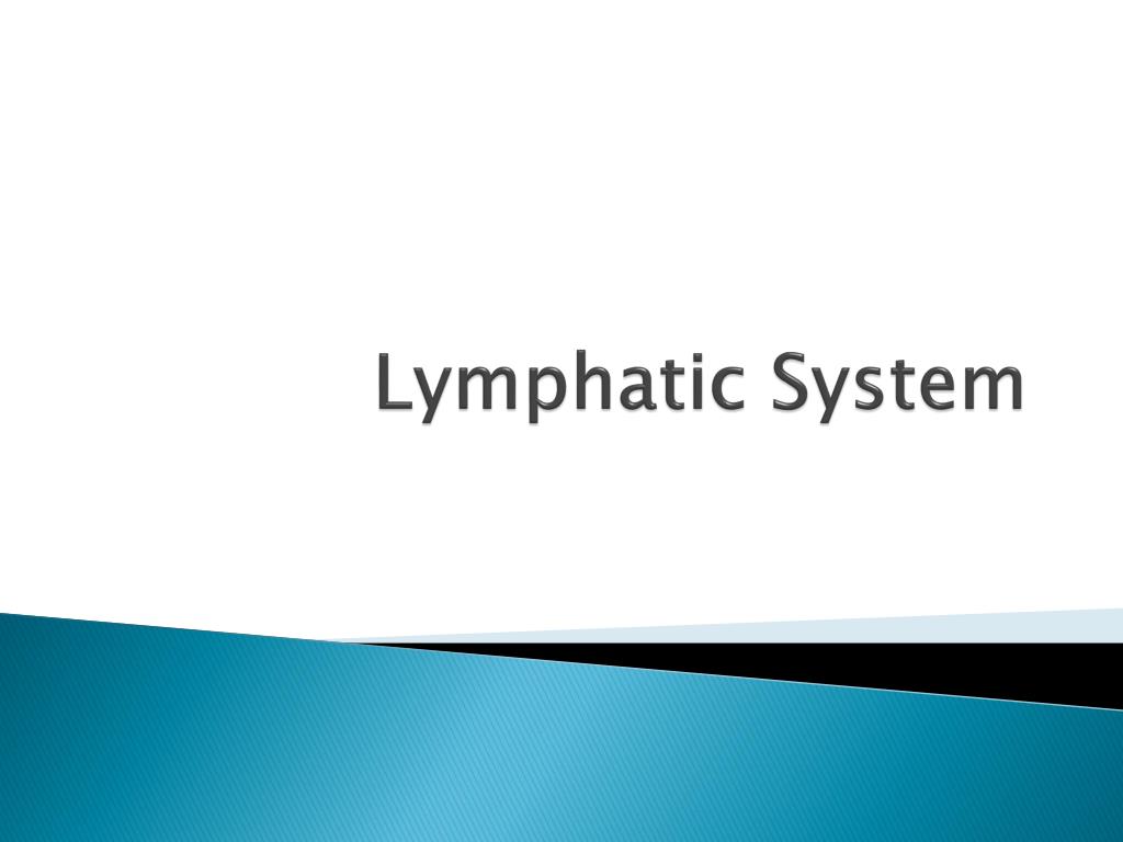 PPT - Lymphatic System PowerPoint Presentation, free download - ID:1899417