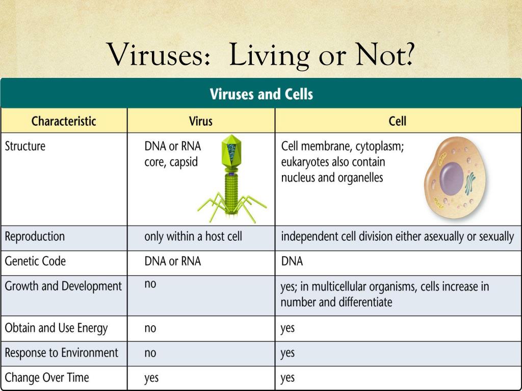 PPT - Viruses: Living or Not? PowerPoint Presentation, free download ...