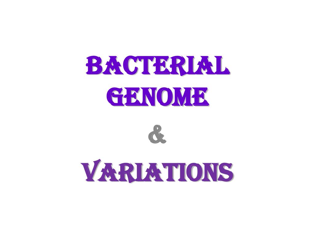 PPT - Bacterial Genome & Variations PowerPoint Presentation, free ...