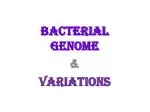 PPT - Bacterial Genome Assembly PowerPoint Presentation, free download ...
