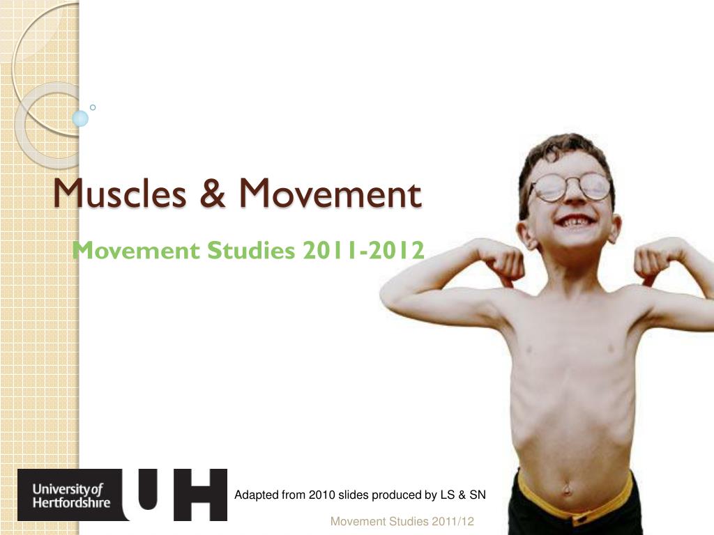 PPT - Muscles & Movement PowerPoint Presentation, free download - ID ...